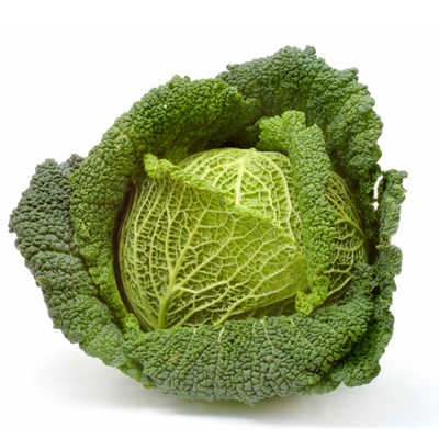 Producción agrícola de alimentos: acelgas, arándanos, col...