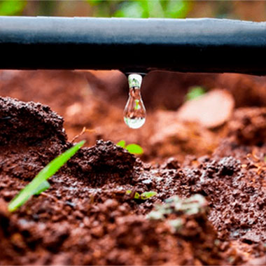 Riego en Israel - Sistemas de riego preciso mediante goteo