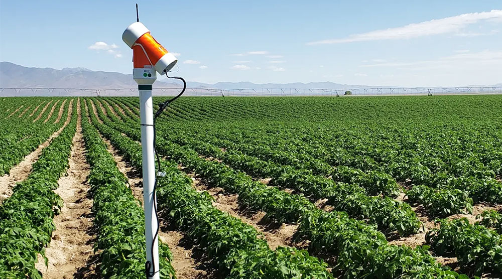 Sensores de humedad del suelo para riego - Cómo instalarlos